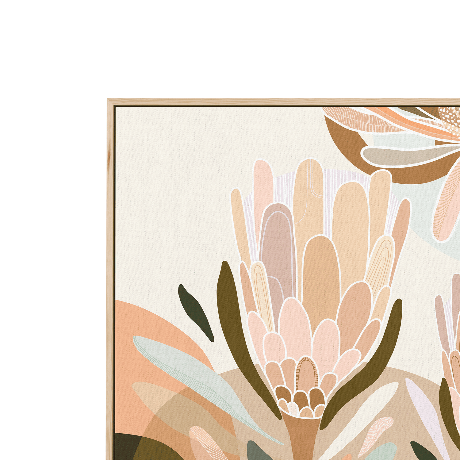 PROTEA BOTANICAL | booie and ben